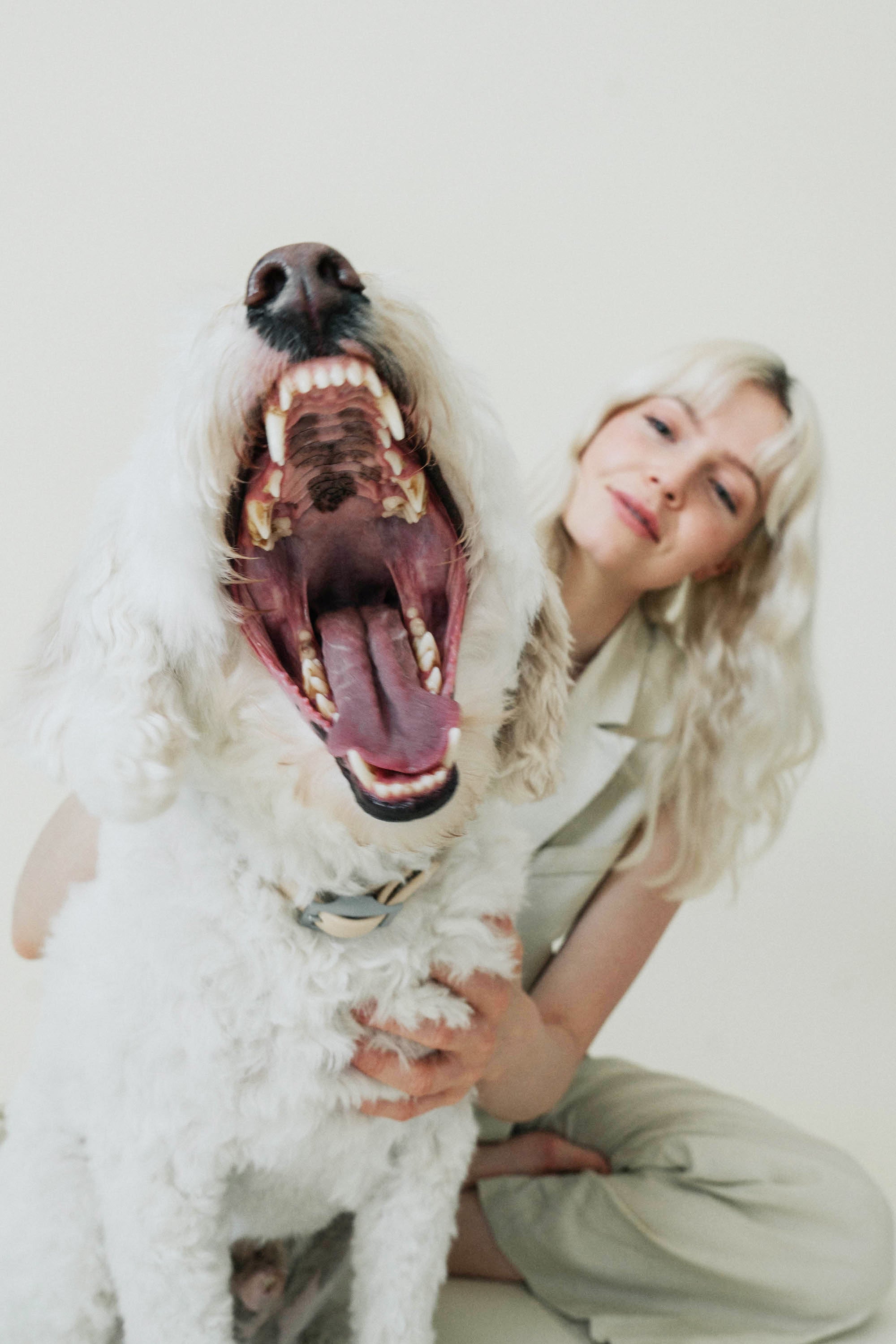 Wild Biome – wildbiome